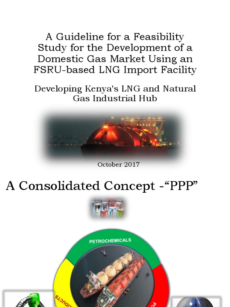 A Guideline For A Feasibility Study For The Development Domestic Gas ...