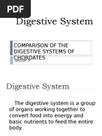 Digestive System of Goats | PDF | Ruminant | Digestion