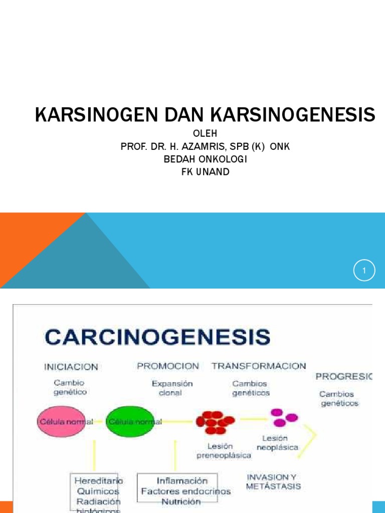 1.6.2.7 - Karsinogen Dan Karsinogenesis | PDF