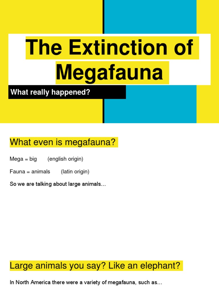 Megafauna Extinction | PDF | Megafauna | Organisms