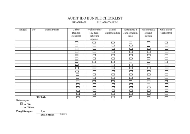 Audit Ido Bundle Checklist | PDF