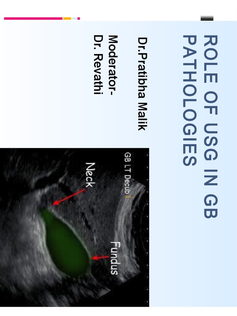 Gall Bladder USG | PDF | Gallbladder | Liver