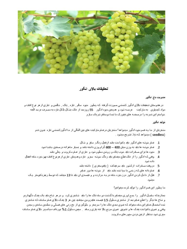 Grape Research | PDF