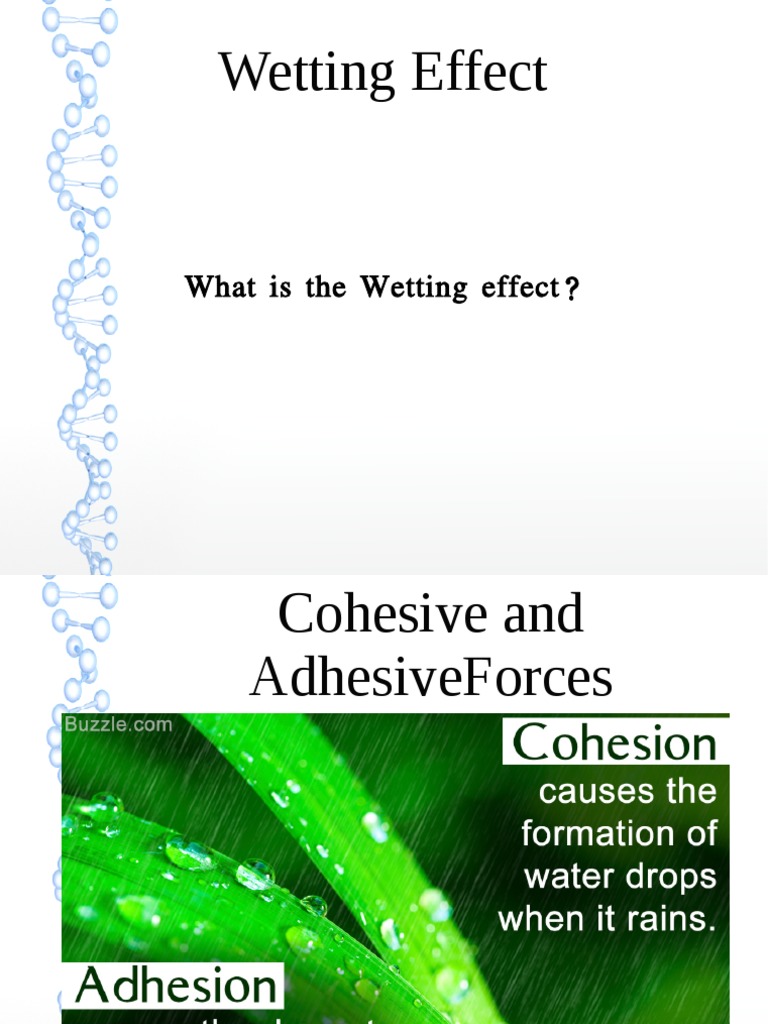 What Is The Wetting Effect? | PDF