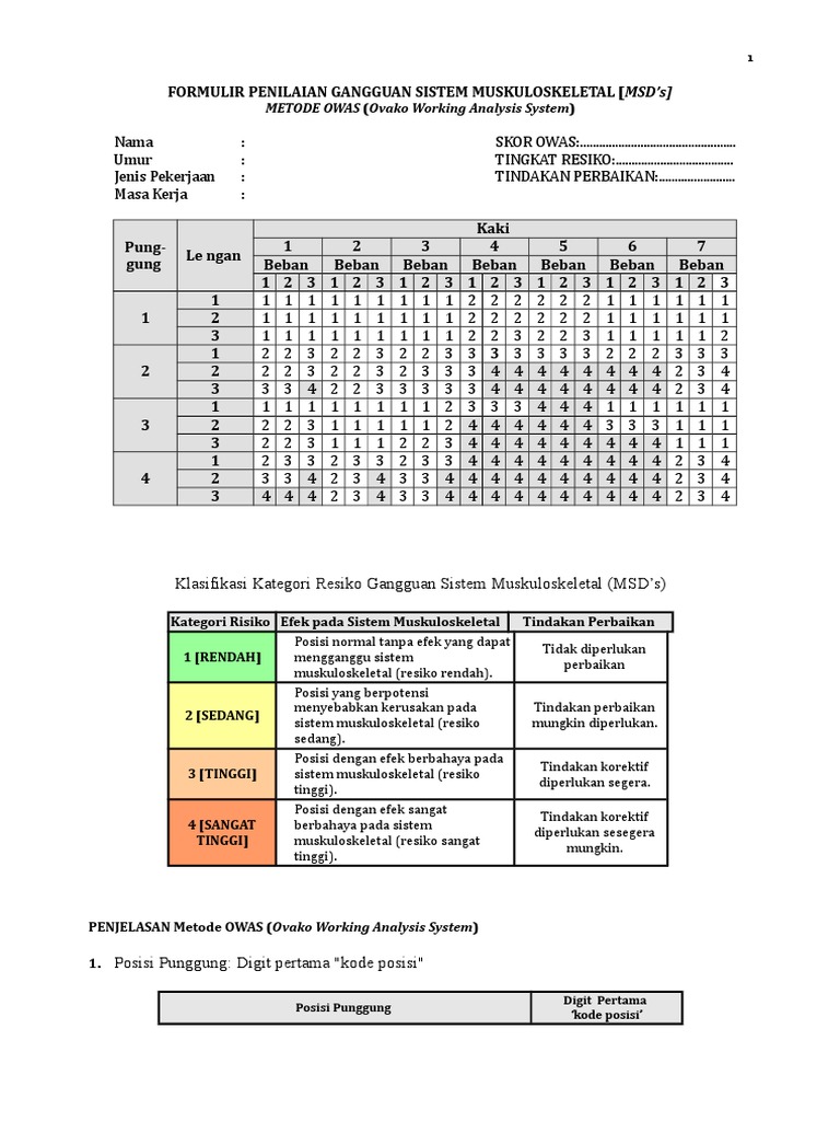Form Pengukuran Owas | PDF