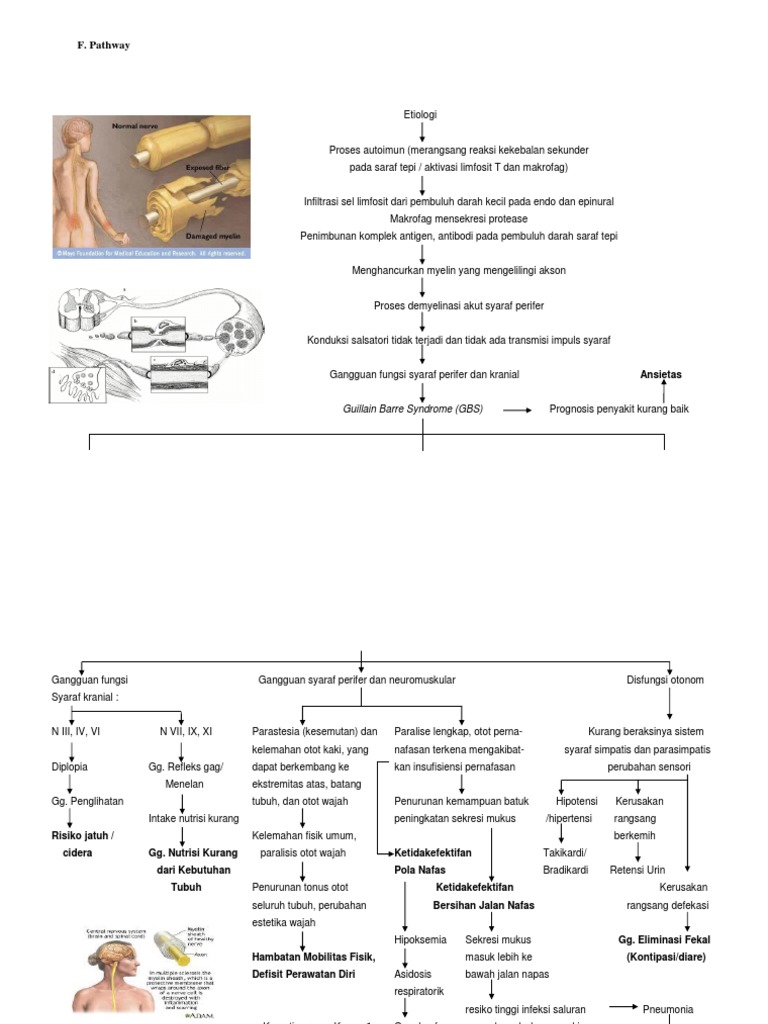 Pathway GBS | PDF