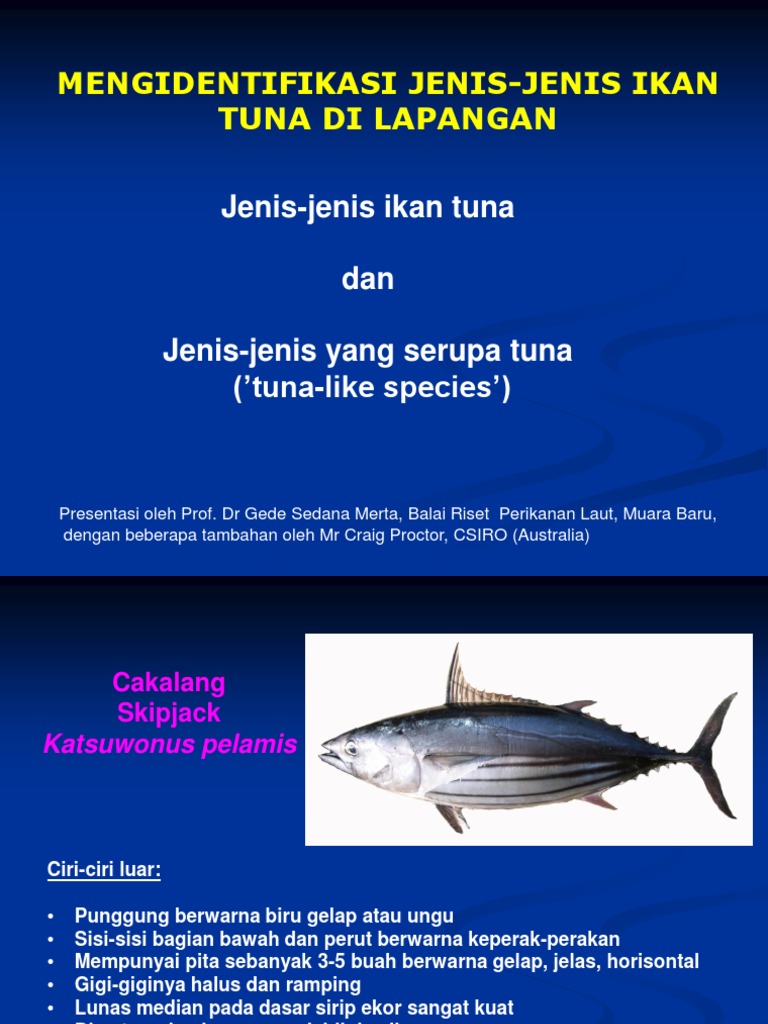 Mengidentifikasi Jenis-Jenis Ikan Tuna Di Lapangan | PDF