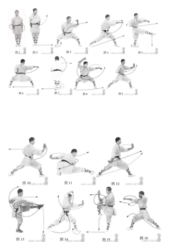 Shaolin | PDF