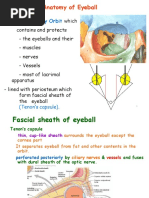 Visual Pathway | PDF | Visual System | Cerebral Cortex