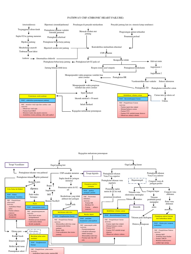 Pathway CHF | PDF