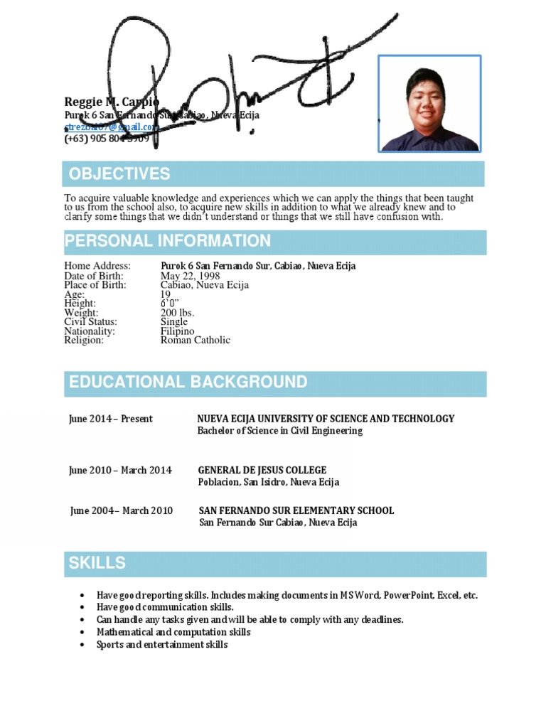 Reggie Carpio's Civil Engineering Resume | PDF