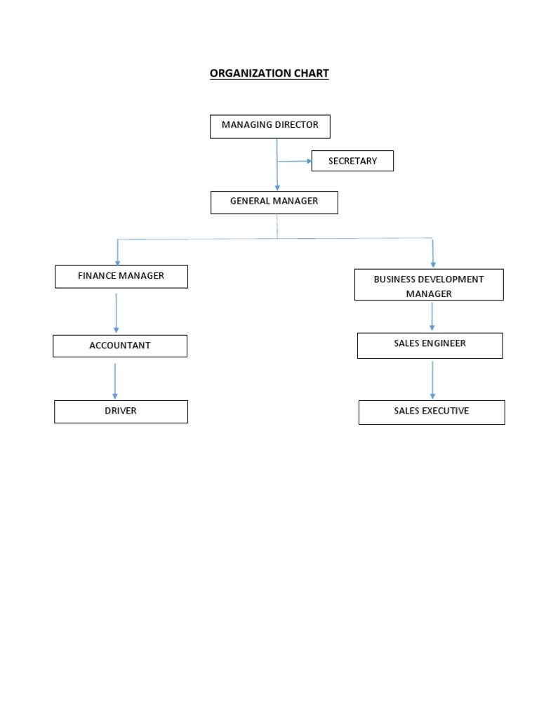 Organization Chart: Managing Director | PDF