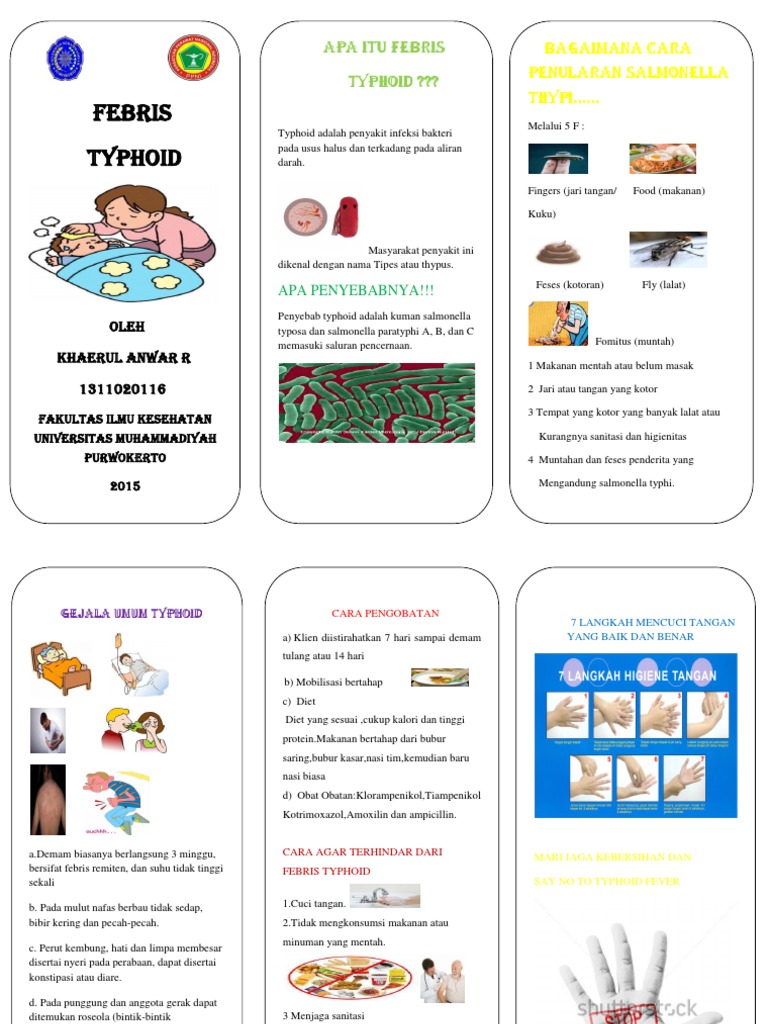 Leaflet Febris Typhoid | PDF