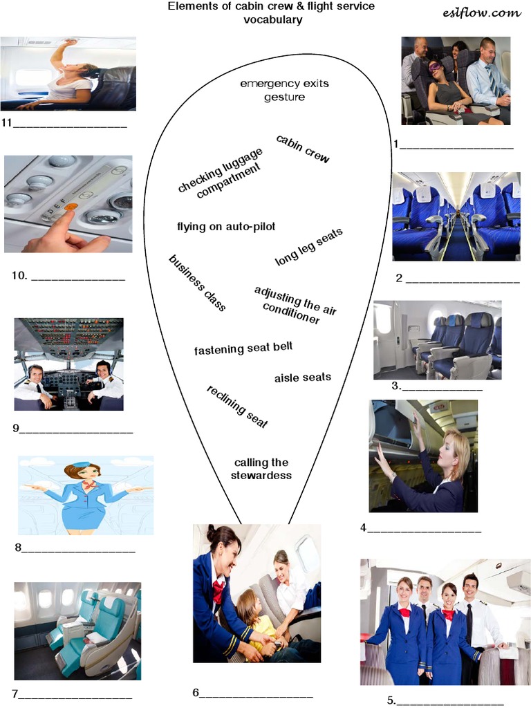 Cabin Crew Vocabulary Essentials | PDF | Aviation | Aerospace Engineering