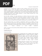 Ruze Topalovic Katalog | PDF