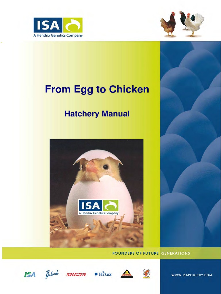 Chicken Hatchery Management Manual | PDF | Egg | Yolk