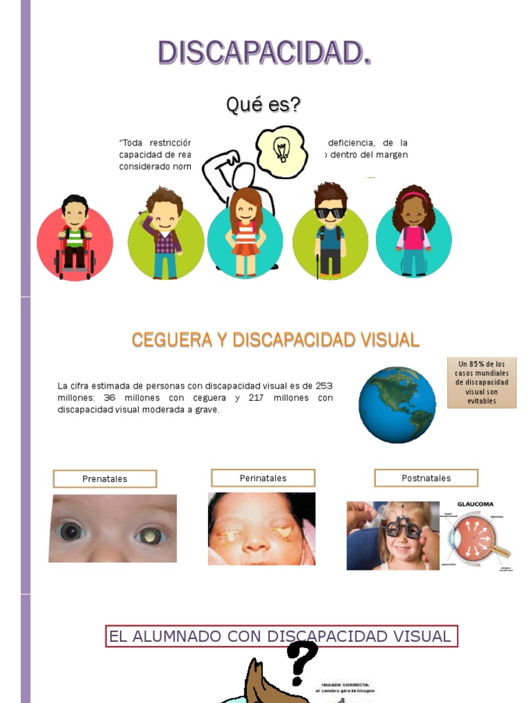 Discapacidad Visual | PDF | Percepción visual | Invalidez
