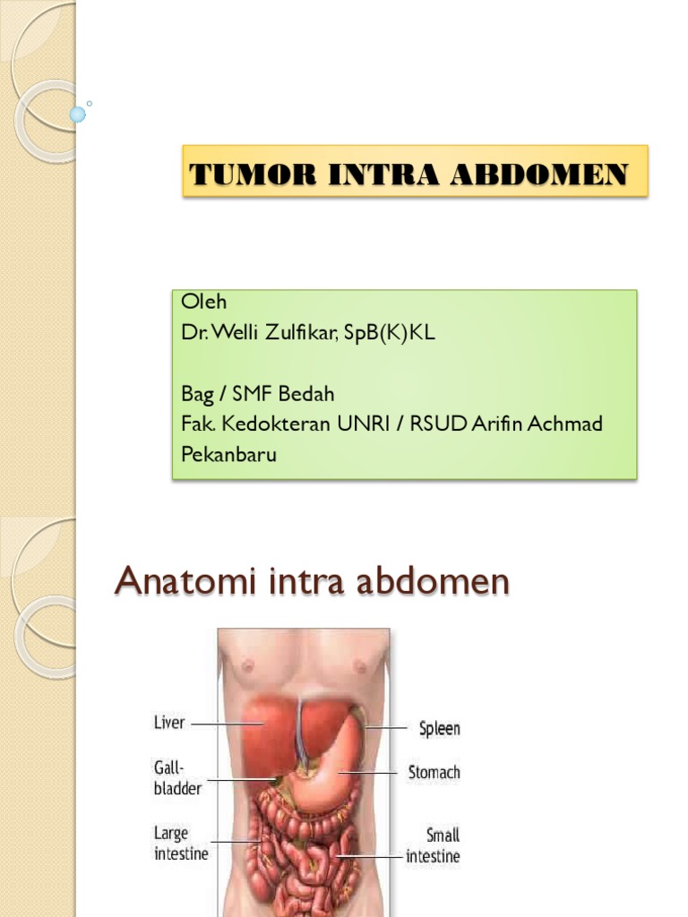Ilmu Bedah Tumor Intra Abdomen Pdf