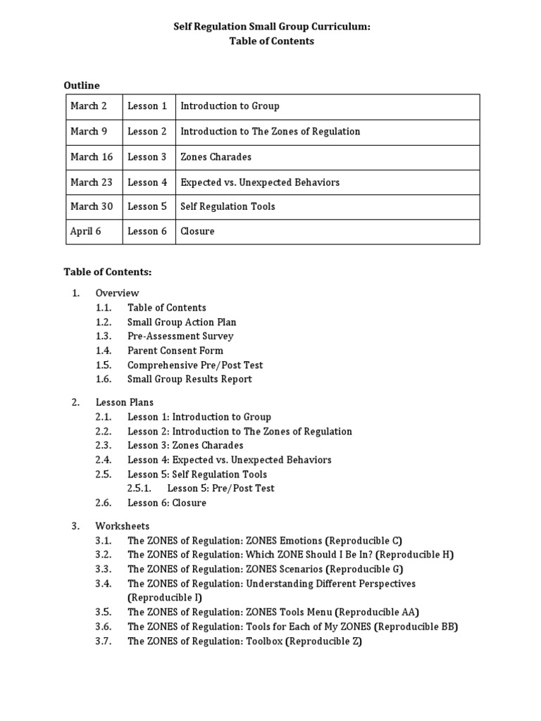Self Regulation Small Group Curriculum | PDF