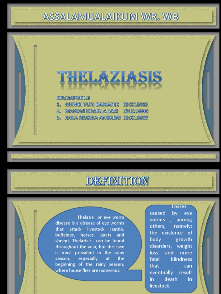 Thelaziasis | PDF | Cornea | Livestock