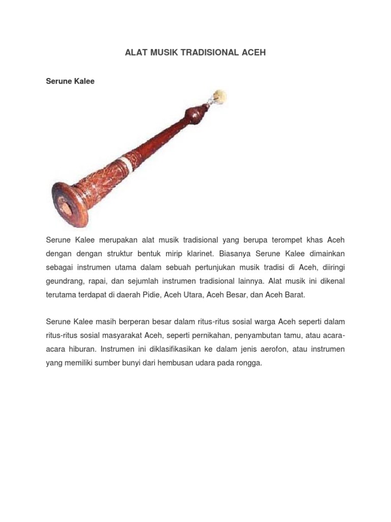 Alat Musik Tradisional Aceh | PDF