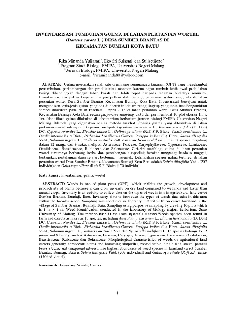 Bribil | PDF