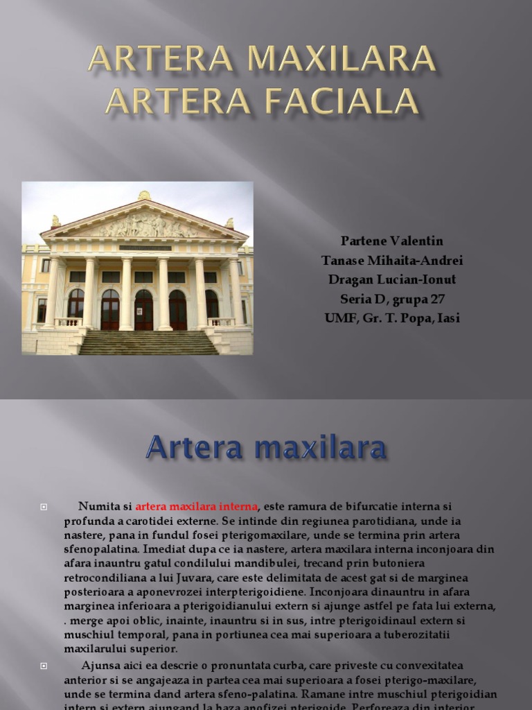 Artera Maxilara Si Faciala | PDF