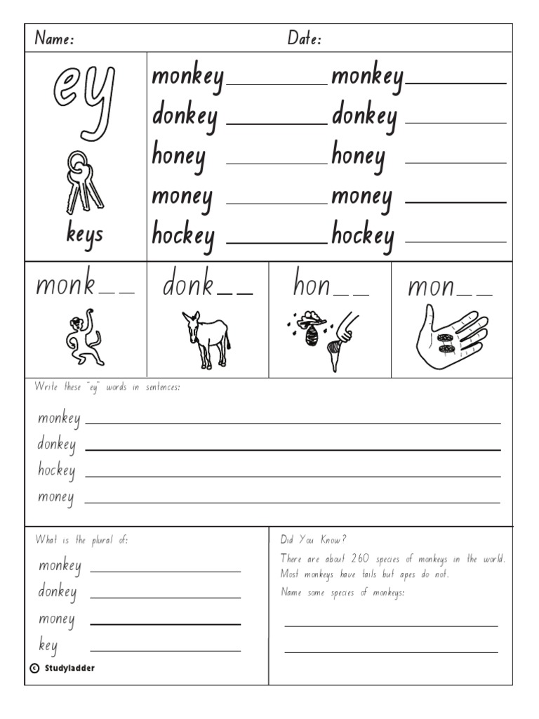 "Engaging Activities for 'ey' Words" | PDF | Home & Garden | Art