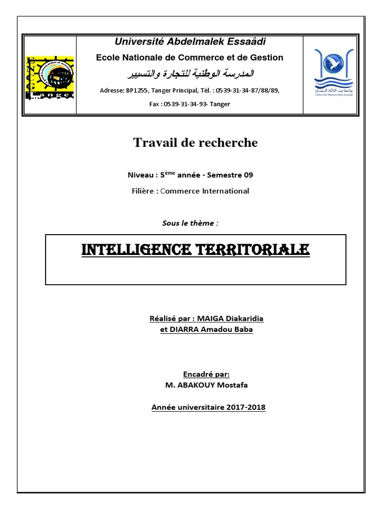 Intelligence Territoriale : Concepts et Enjeux | PDF | Développement ...