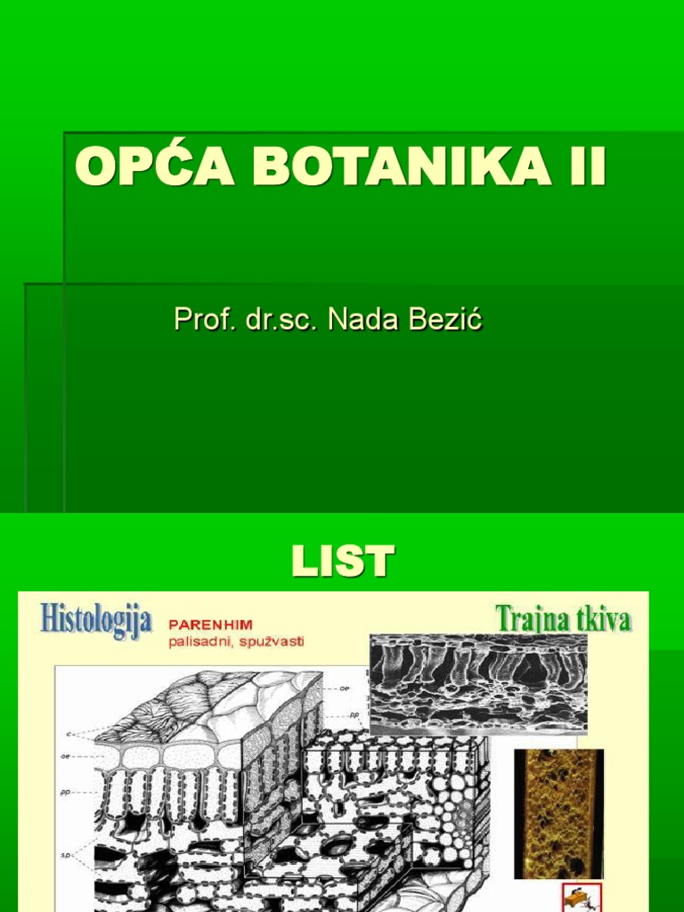 Opca - Botanika 2 | PDF