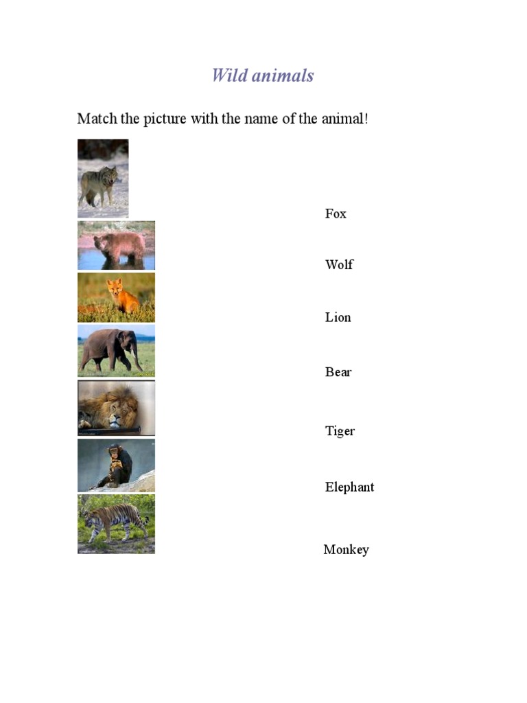 Wild Animals | PDF