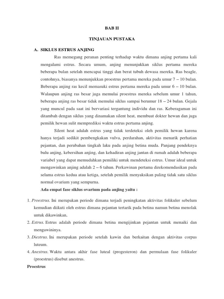 Smear Vagina Asty | PDF