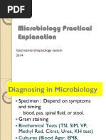 Biochemical Test Chart | PDF | Microbiology | Prokaryote