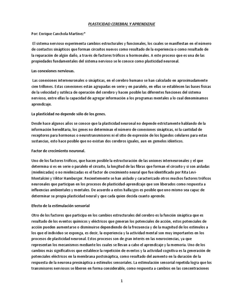 Plasticidad Cerebral y Aprendizaje | PDF | Sinapsis | Neuroplasticidad