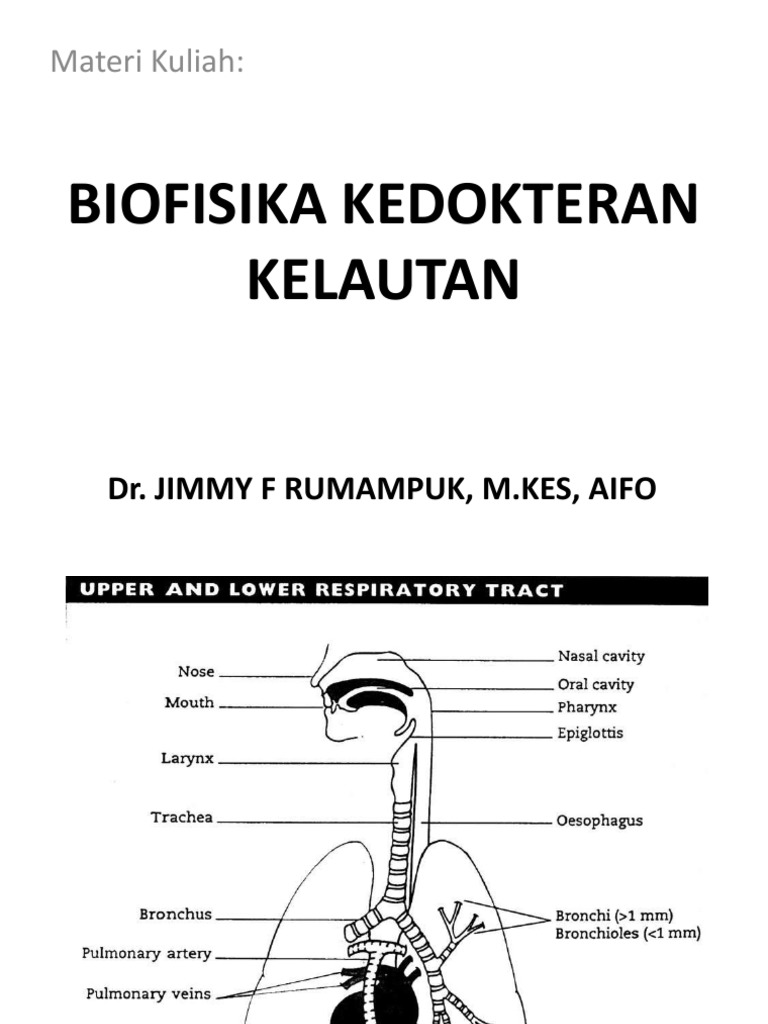 Biofisika Kedokteran Kelautan | PDF