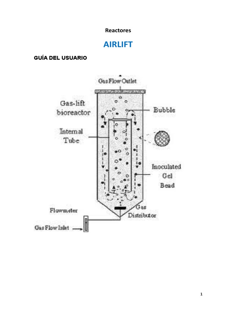 Manual de Uso Reactor Airlift 2 | Esterilización (Microbiología) | Agua