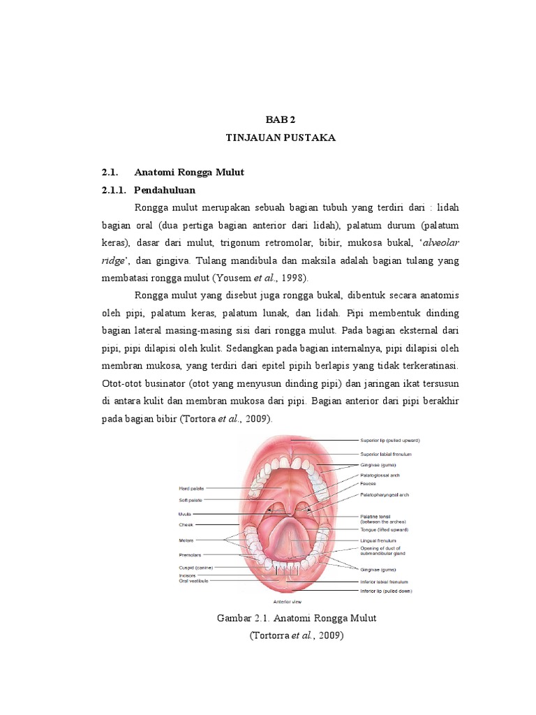 Anatomi Rongga Mulut | PDF