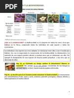 Recursos Naturales de Panama | PDF | Biodiversidad | Agricultura