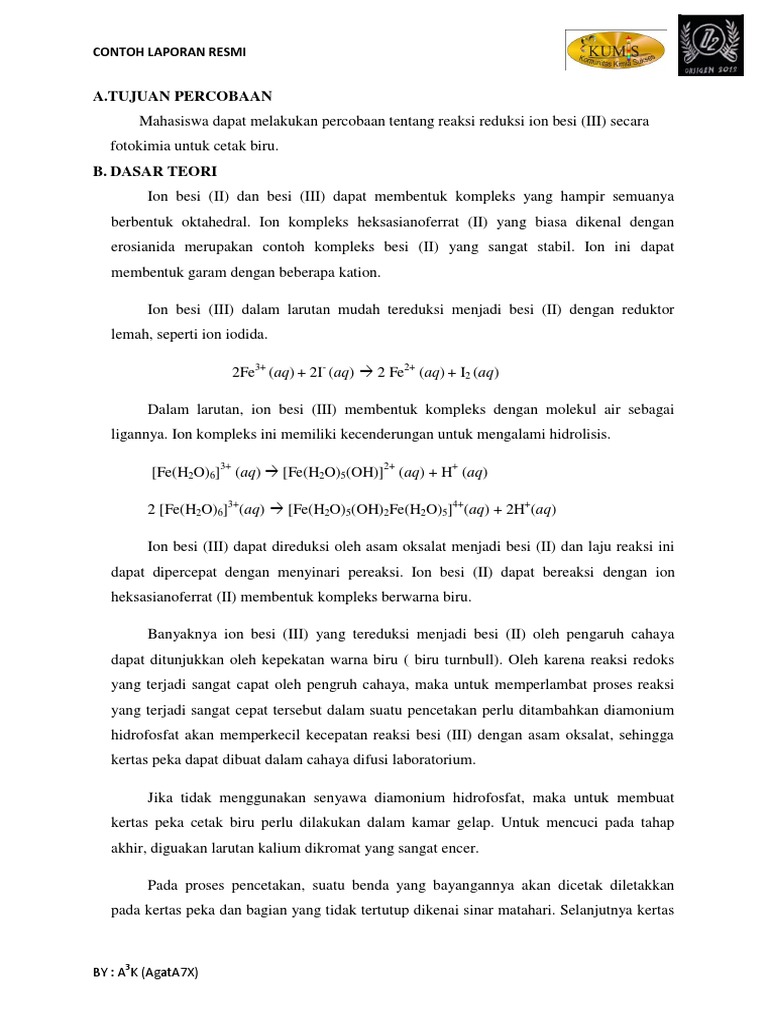 Contoh Laporan Resmi PDF | PDF