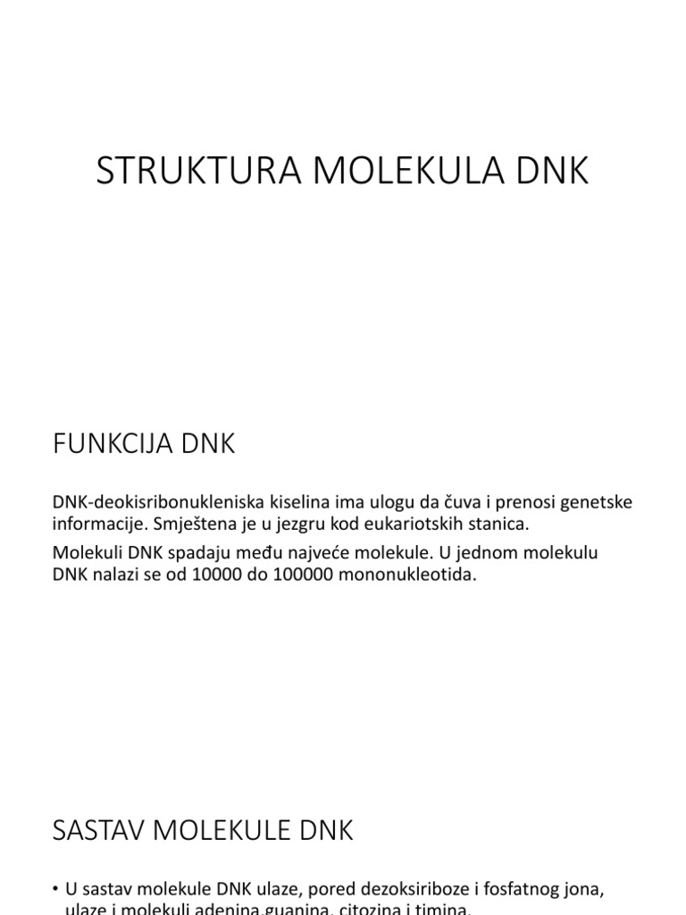 Struktura Molekula DNK | PDF