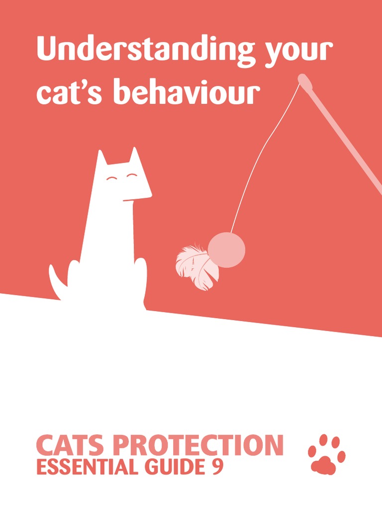 Cat Behaviour Guide | PDF | Cats | Kitten