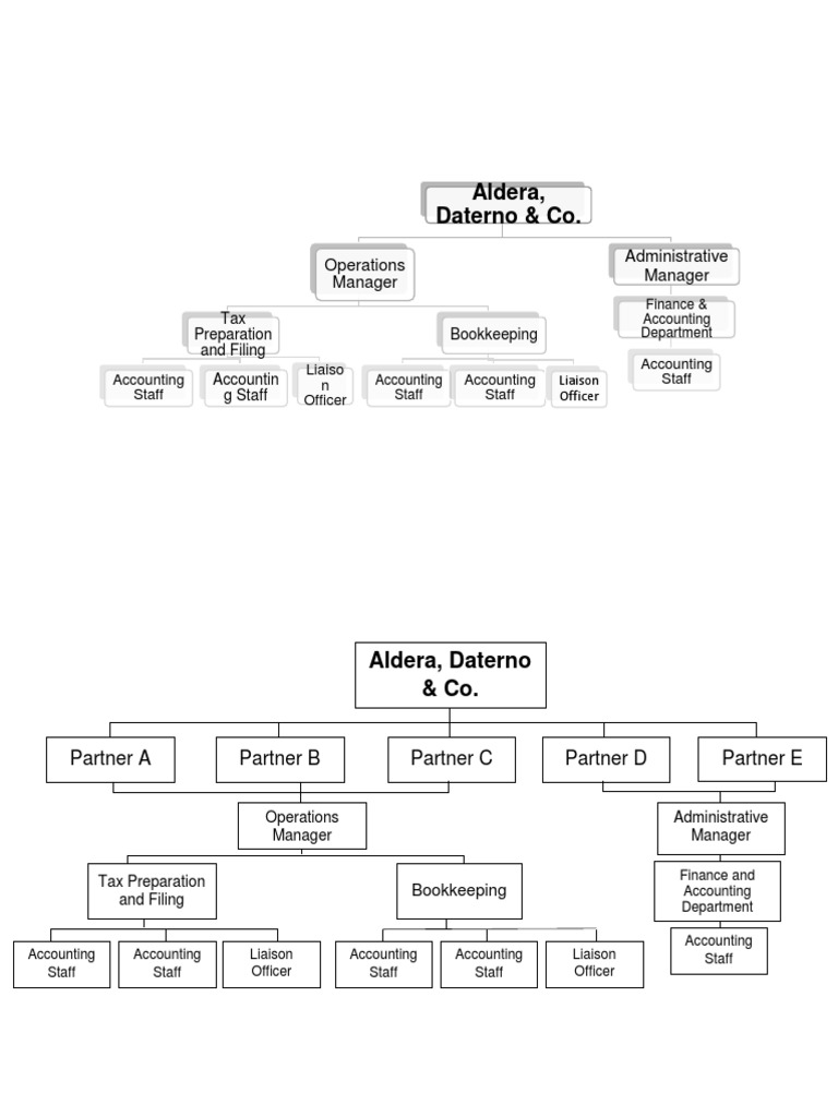 Revised Org Chart Draft | PDF