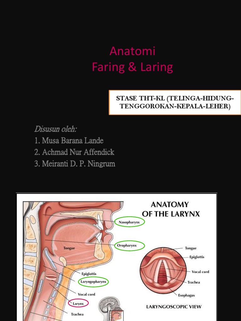 Anatomi Laring Dan Faring | PDF