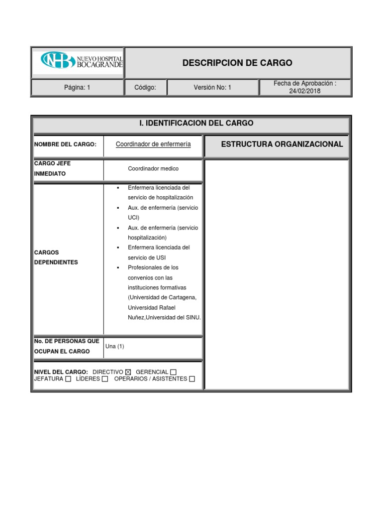 2.2. Modelo Descripción de Cargos | PDF | Enfermería | Business