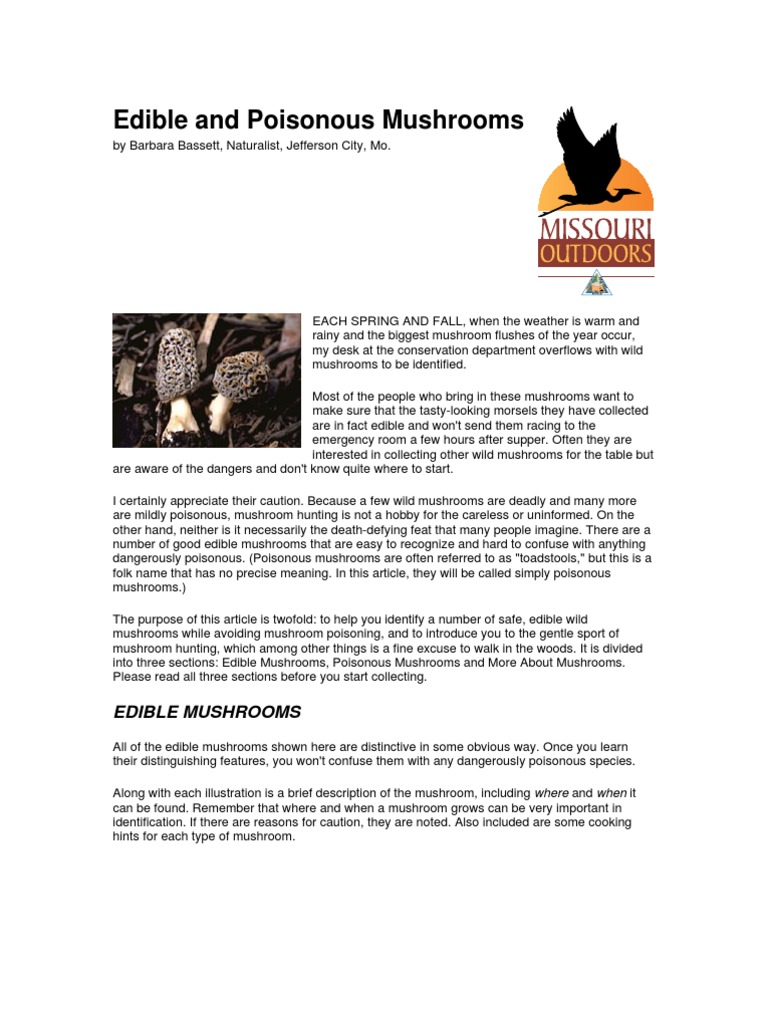 Mushrooms | PDF | Wellness | Science & Mathematics