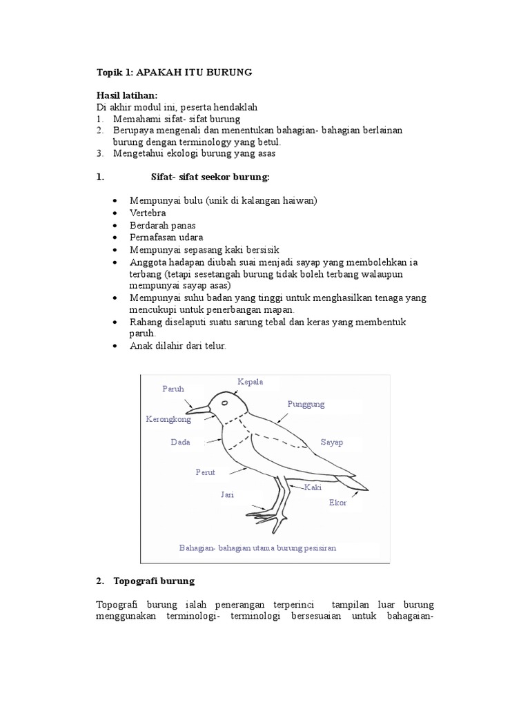 Topik 1 Apa Itu Burung, Sifat Burung, Ekologi Burung | PDF