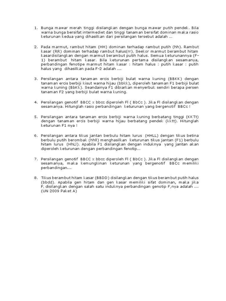 Bunga Mawar Merah Tinggi Disilangkan Dengan Bunga Mawar Putih Pendek ...