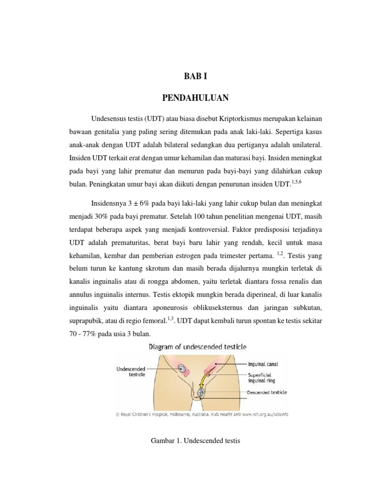 REFERAT Undesensus Testis | PDF