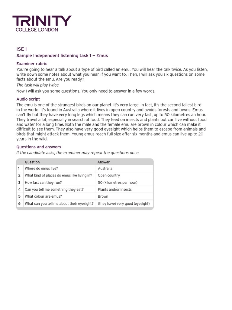 ISE I Task 1 Emus Rubric and Answers | PDF