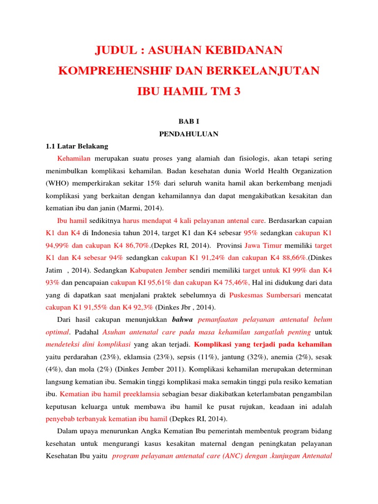 Asuhan Kebidanan Ibu Hamil TM 3 | PDF